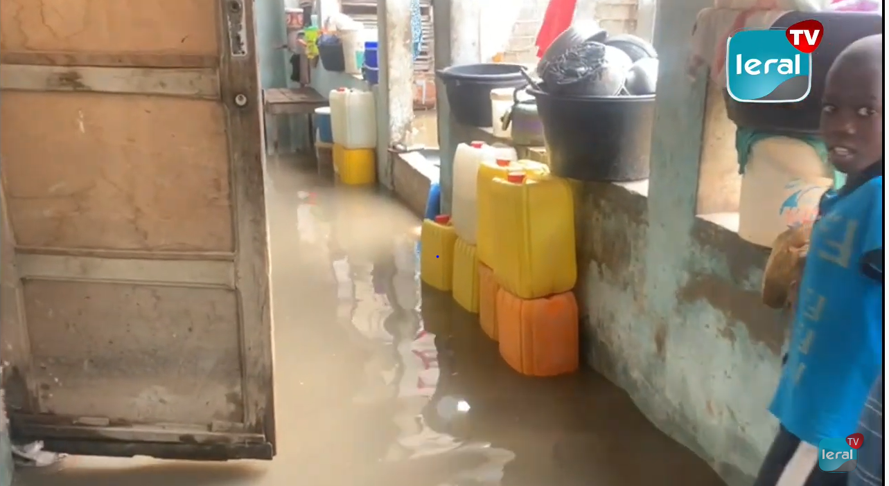 Diamaguène Sicap Mbao: Découvrez le calvaire des inondations que vit cette famille depuis 24 ans
