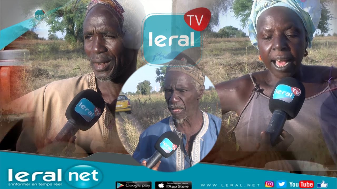 Reportage / MBOUL: Les habitants se battent pour survivre, les bourses ...