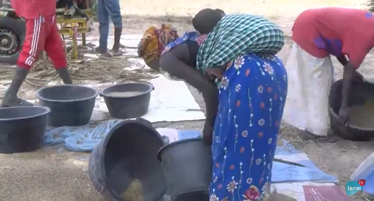 Mboulé : "Mbess, Mbodje", cette activité phare qui fait oublier le ...