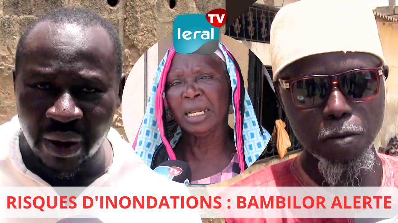 Bambilor en danger : L'hivernage 2023 pourrait engendrer des ...