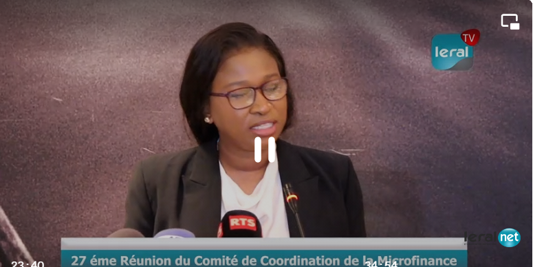 27e réunion Comité de coordination de la Microfinance : Les acteurs plaident un respect des ...