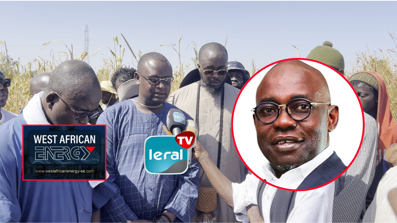 Lagane 2024 : Malick Niass, ingénieur en énergie, fait des révélations ...